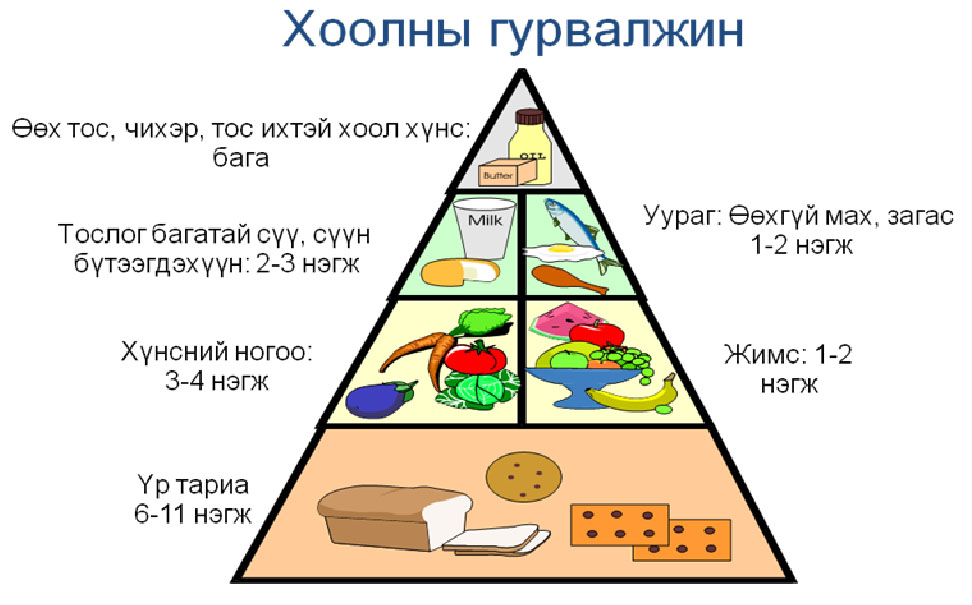 Sorgog Mn